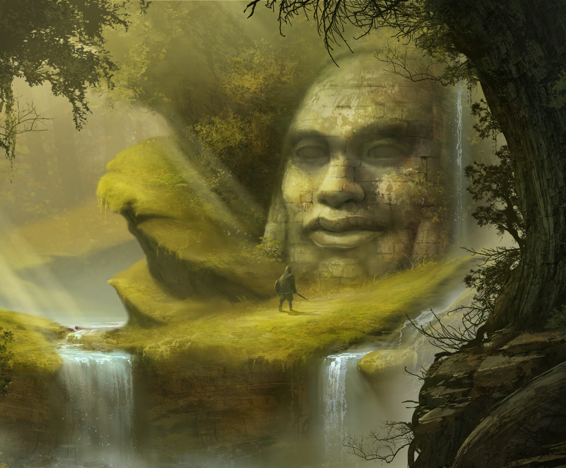 Edward Duff - Ancient Forest