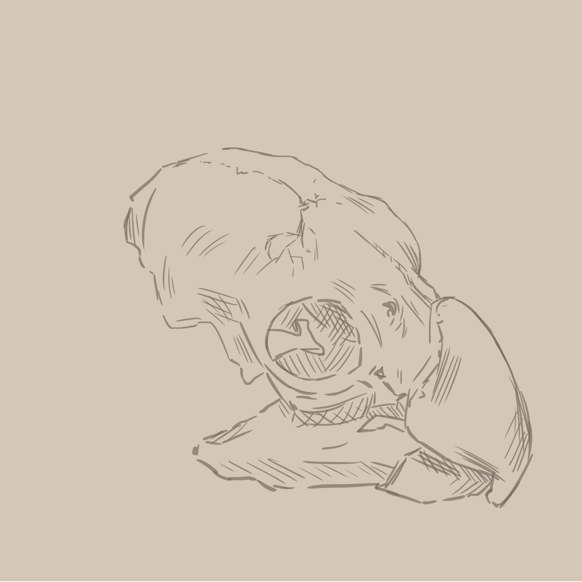 ArtStation - Skull Turnaround