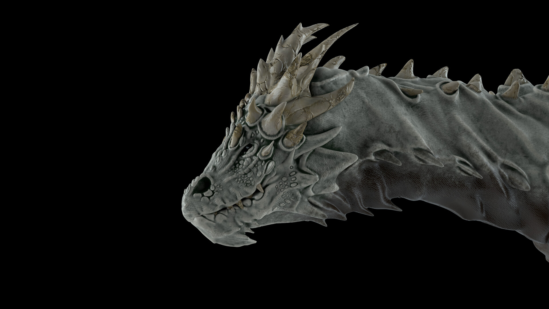 Mn8XR - Sabrina's Dragon