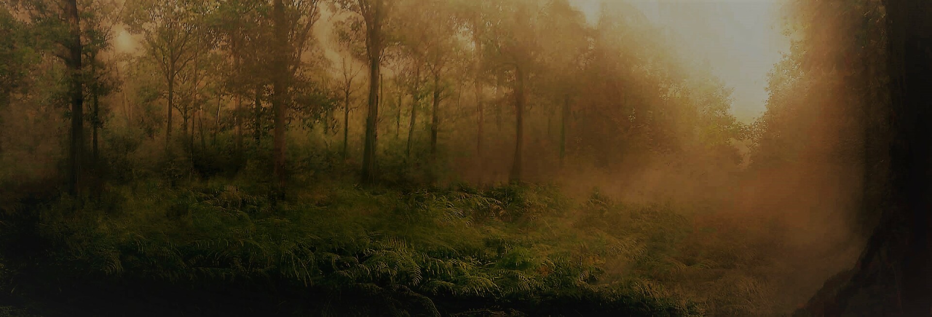 ArtStation - Deep European Forest - Matte Painting Demo