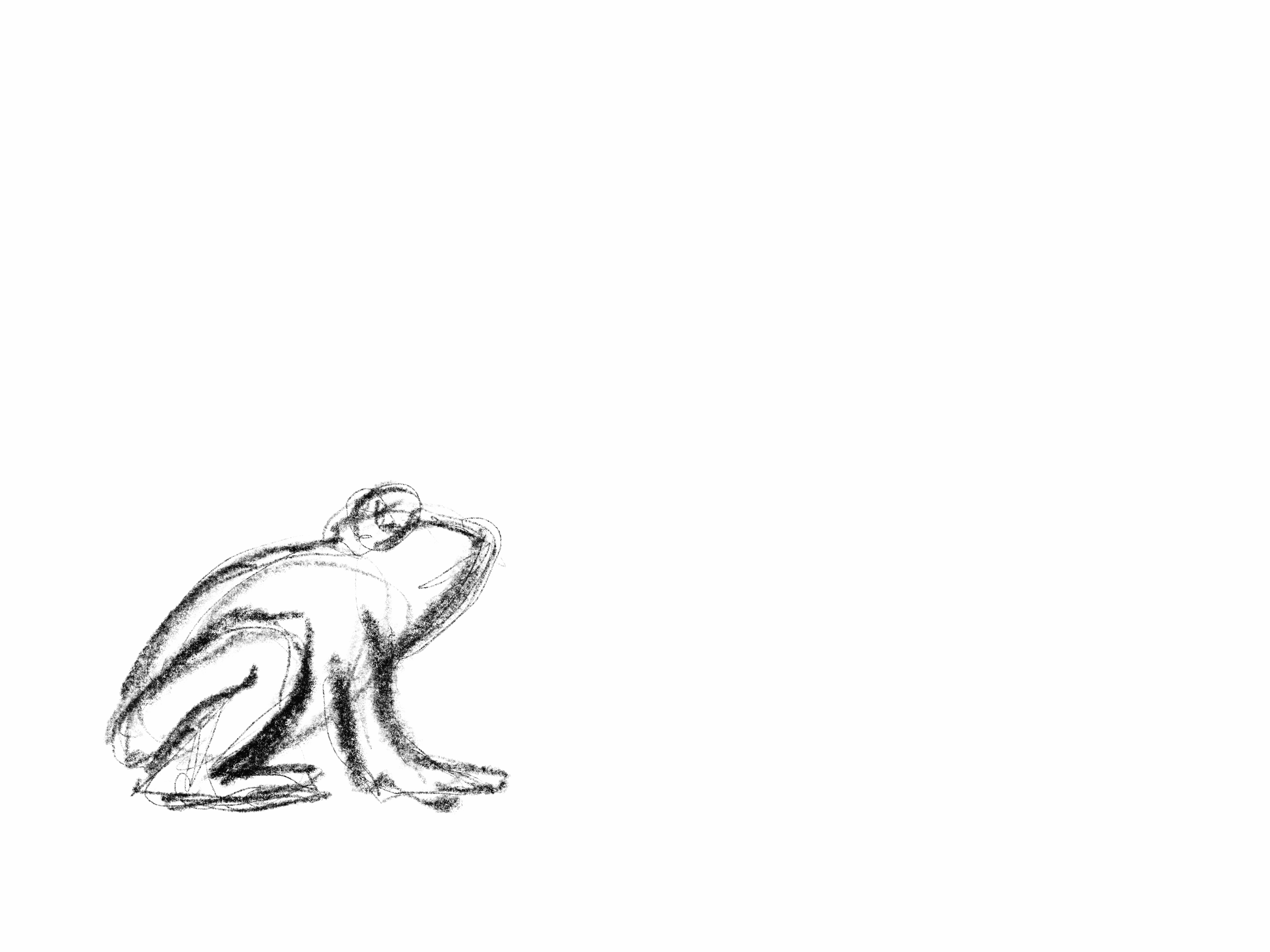 Frog Jumping Gif