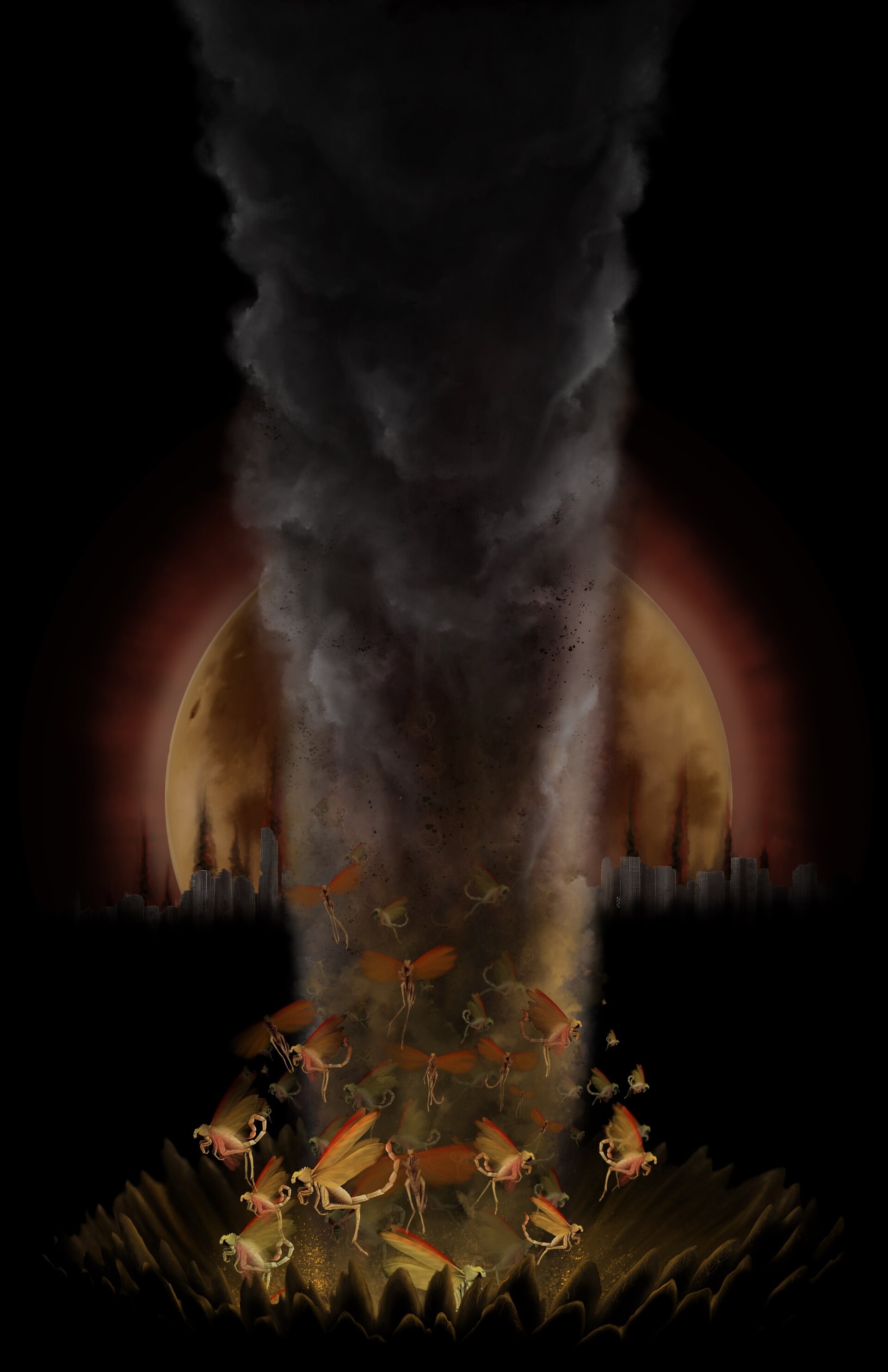 D. S. Causey - Locust Swarm