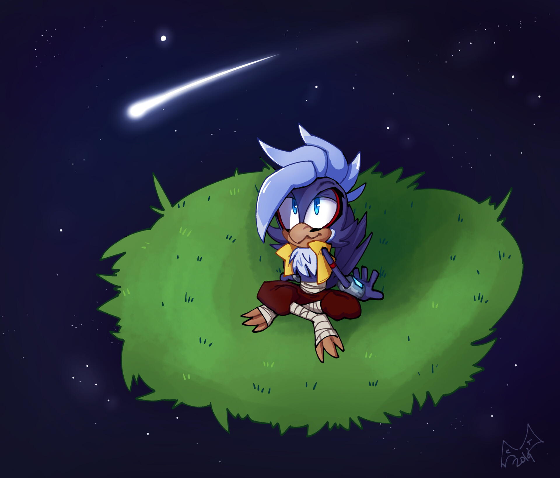 thomas the hedgehog deviantart
