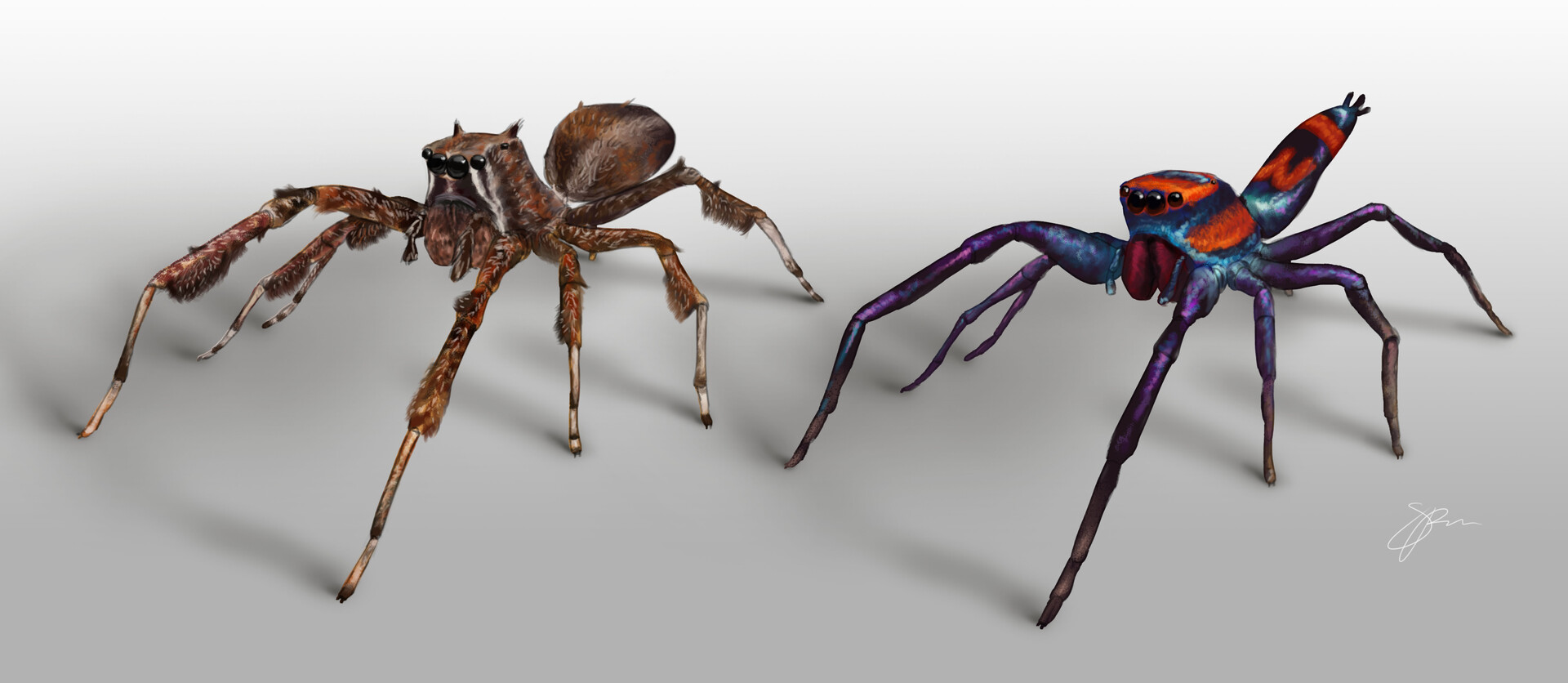 ArtStation - Super Simple Spood Studies