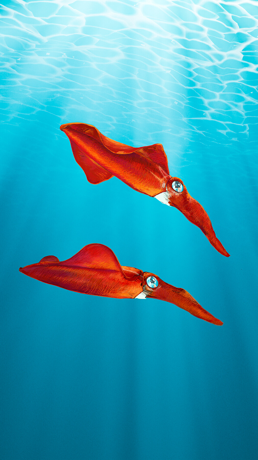 ArtStation - 2 Squids