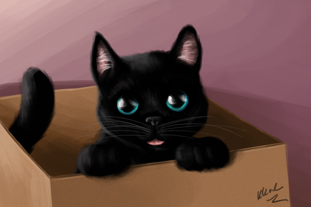 Kim Koch - Cat paintings