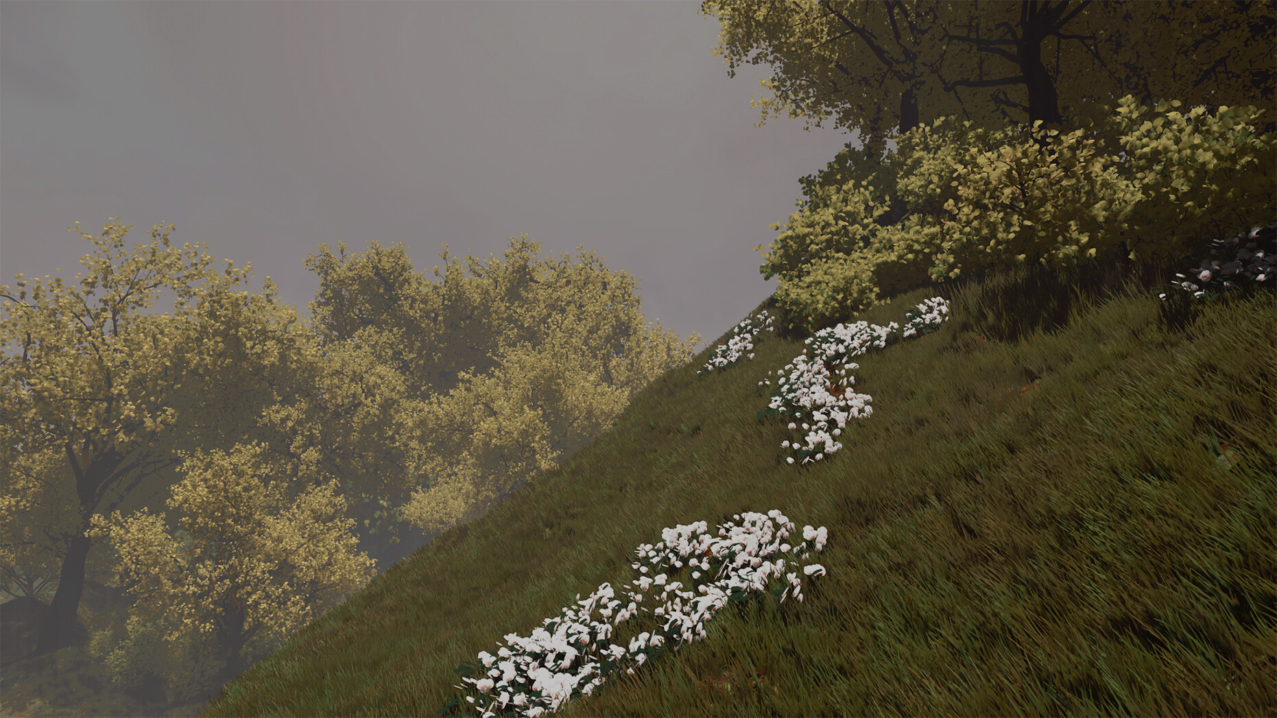 ArtStation - Forest Environment