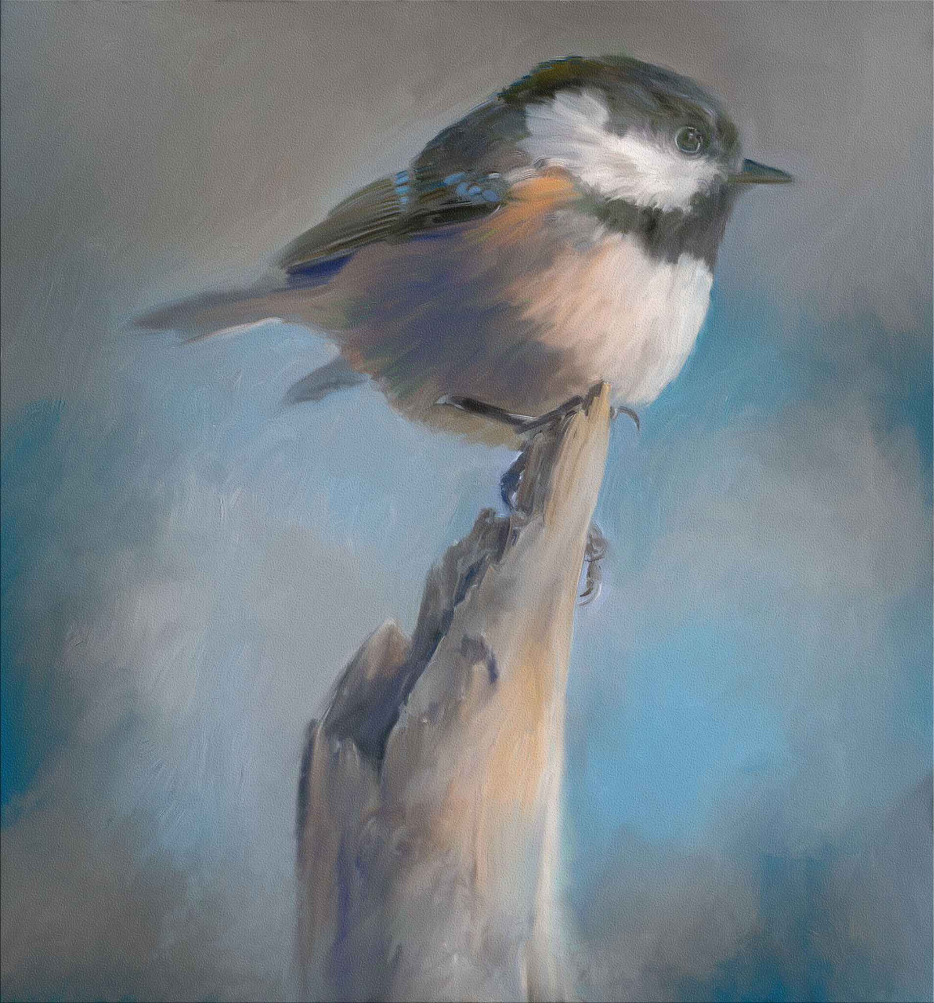 ArtStation - Bird chickadees