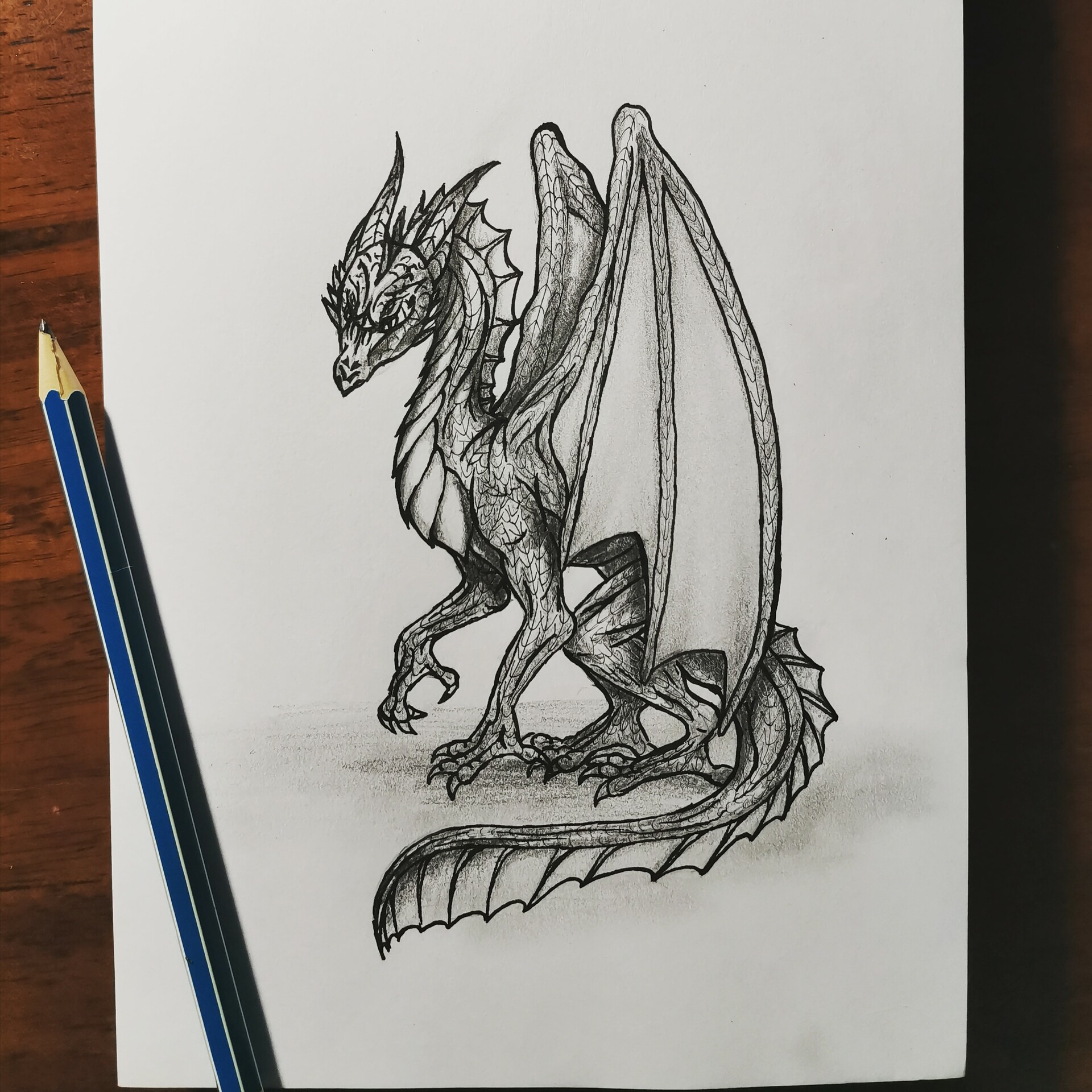 ArtStation - Dragon sketch