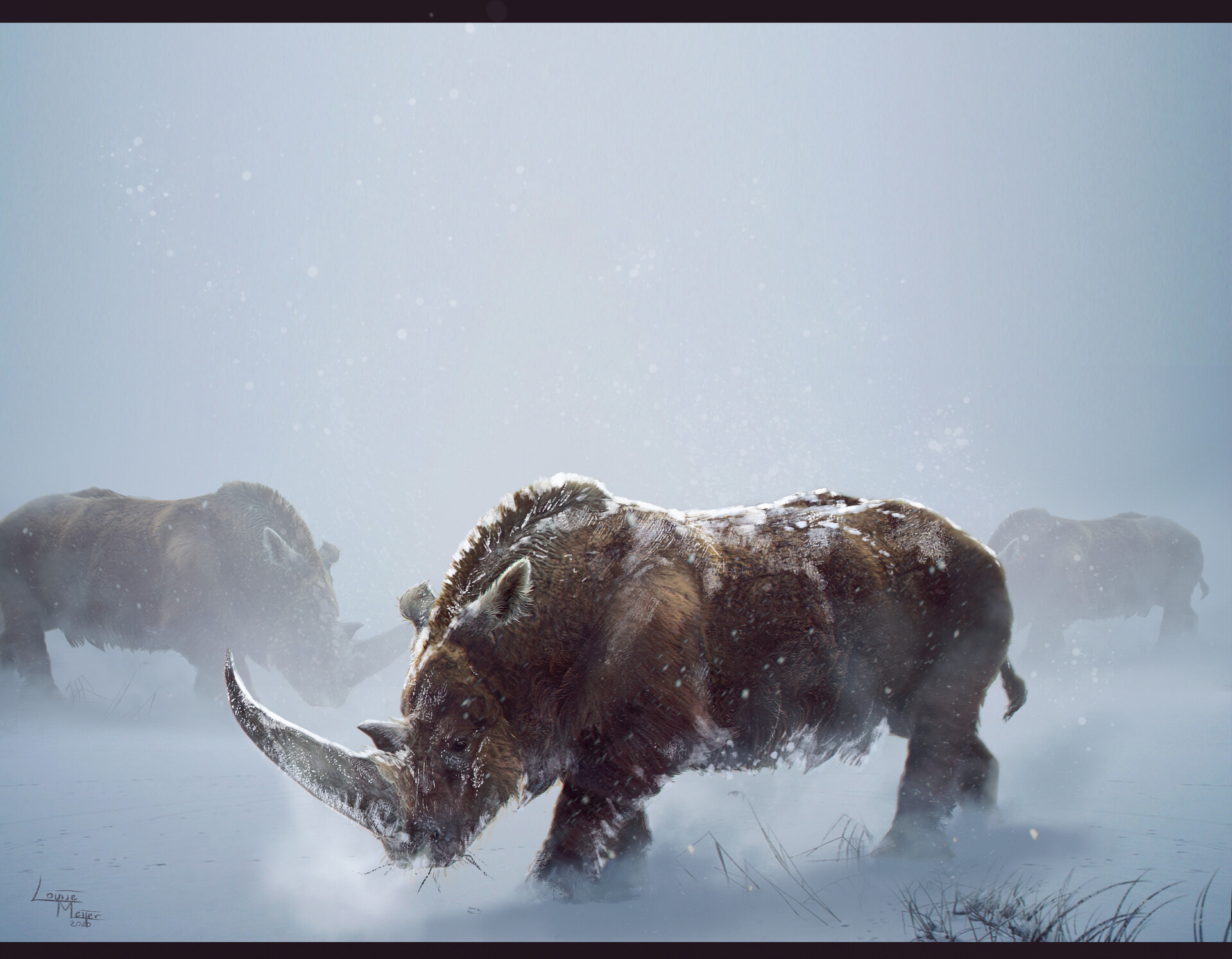 woolly rhino images