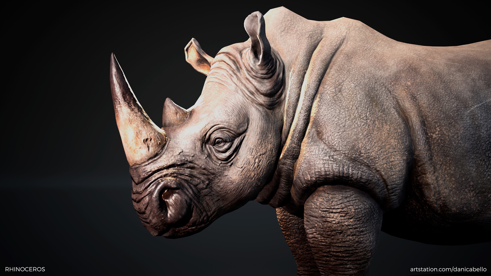 ArtStation - Daniels Rhino