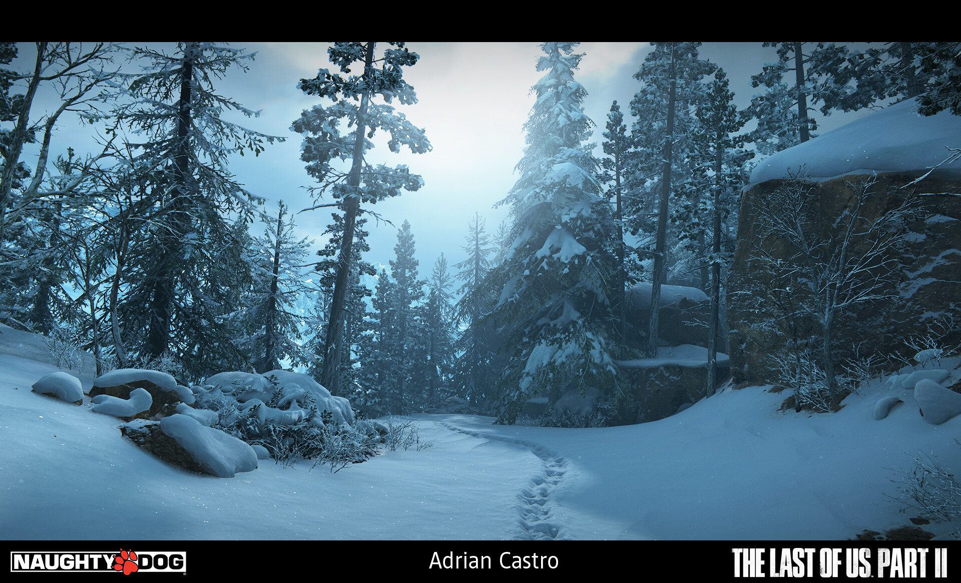 Adrian Castro - Tracking