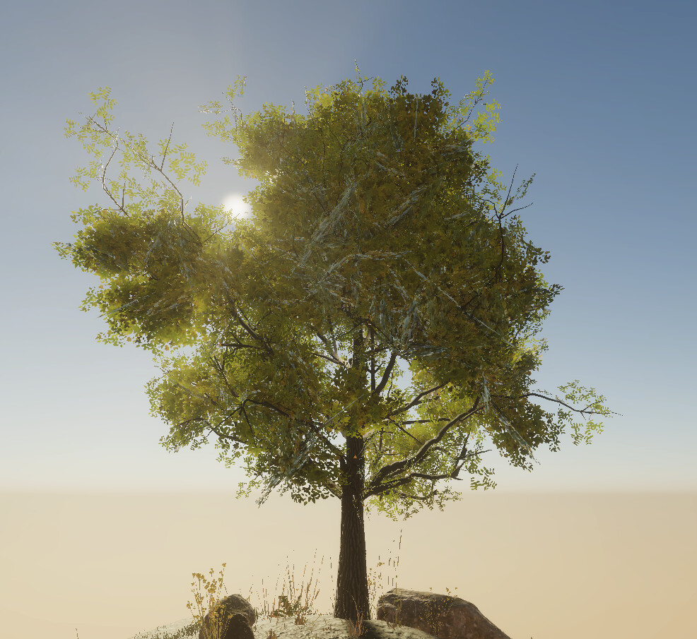 Speedtree Unity | ppgbbe.intranet.biologia.ufrj.br