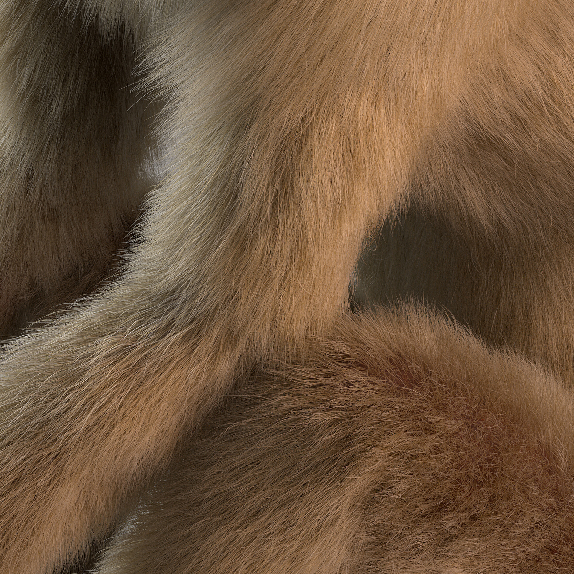 Davide Lombardi - Monkey Business