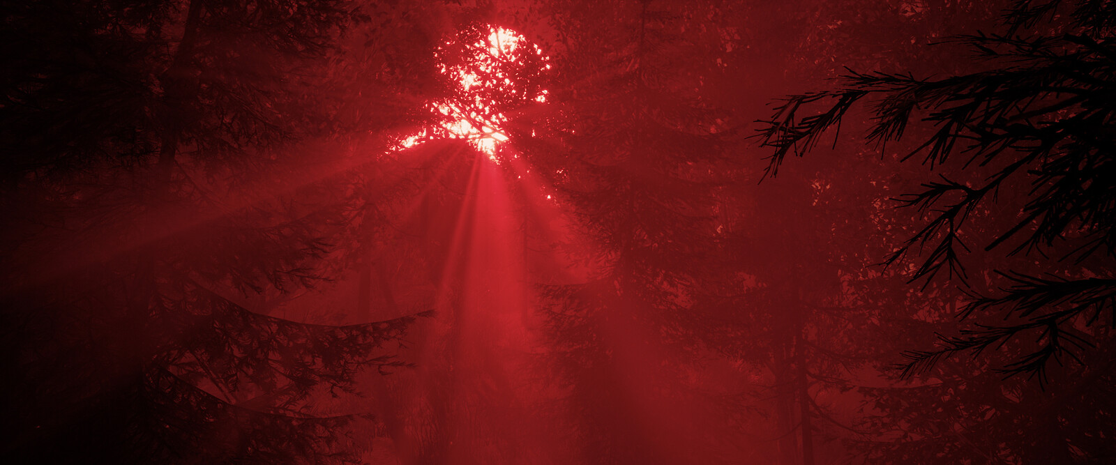 Anderson Rohr - Scarlet Point Production - Cinema Opening Animation