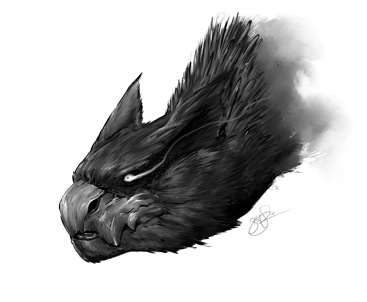 ArtStation - Nargacuga Sketch