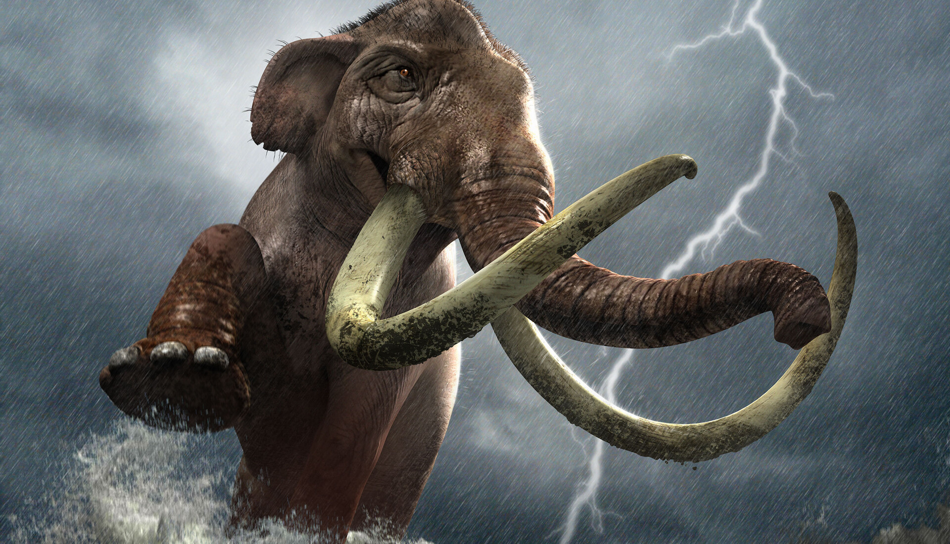 ArtStation - Mammoth