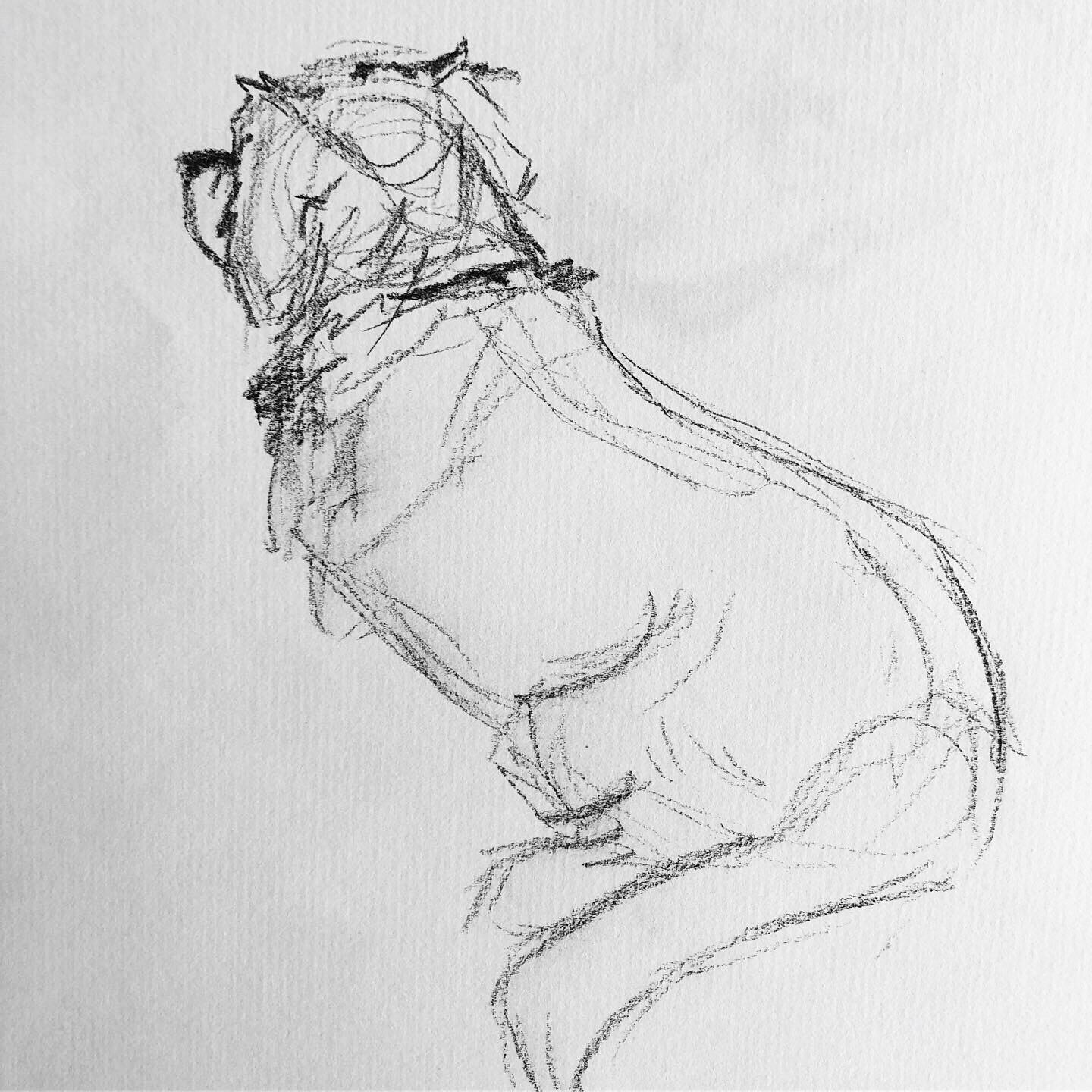 Ellen Mowat - Life Drawing Portfolio