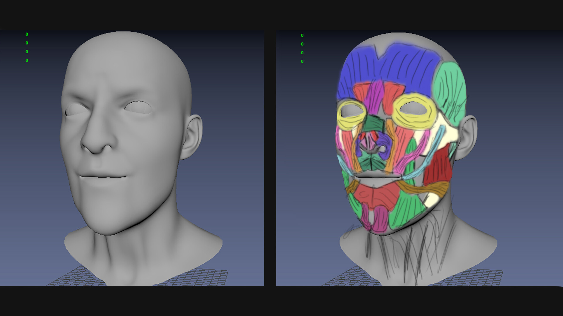 Skanny Marquer - FACIAL RIGGING
