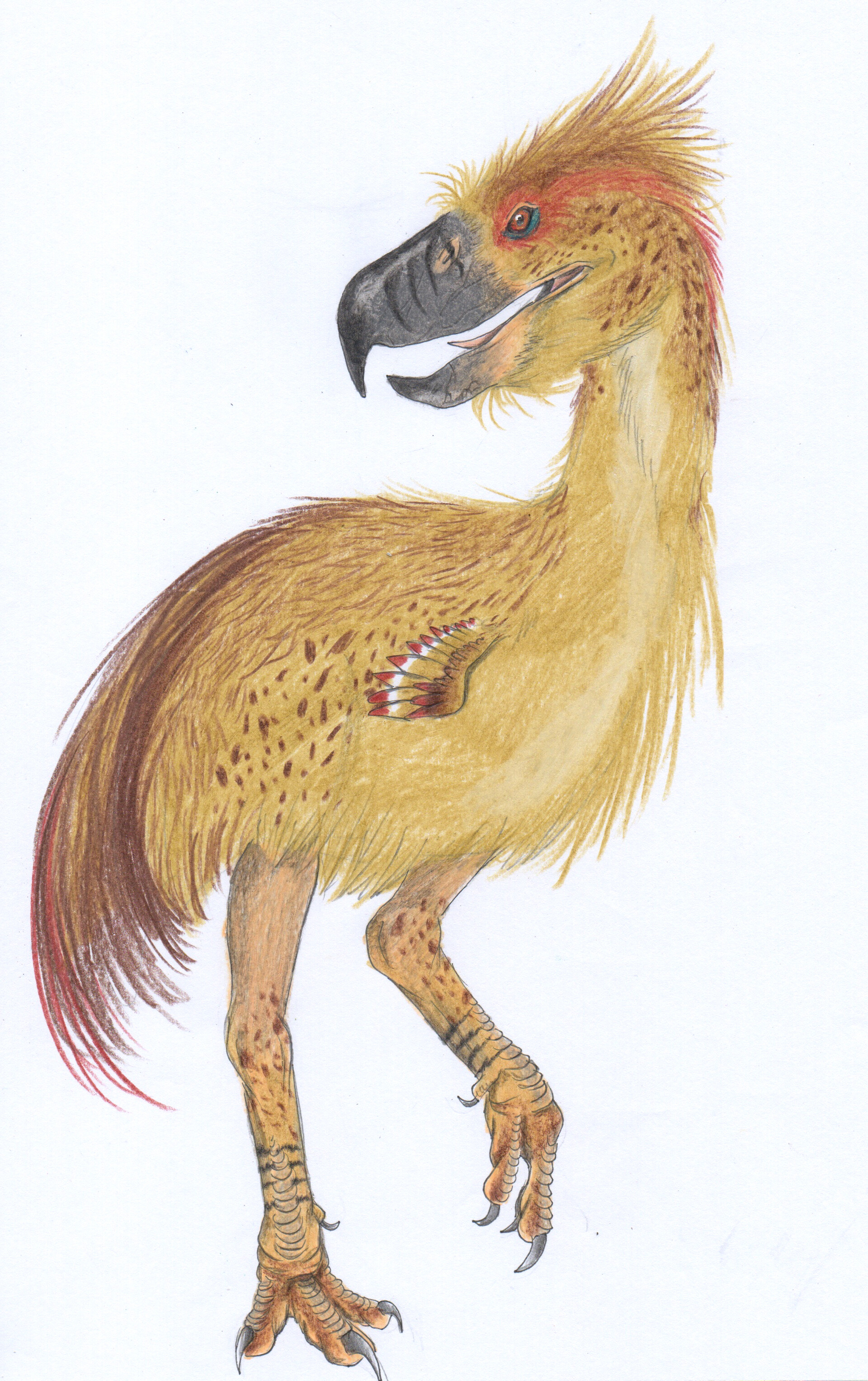 titanis walleri deviantart