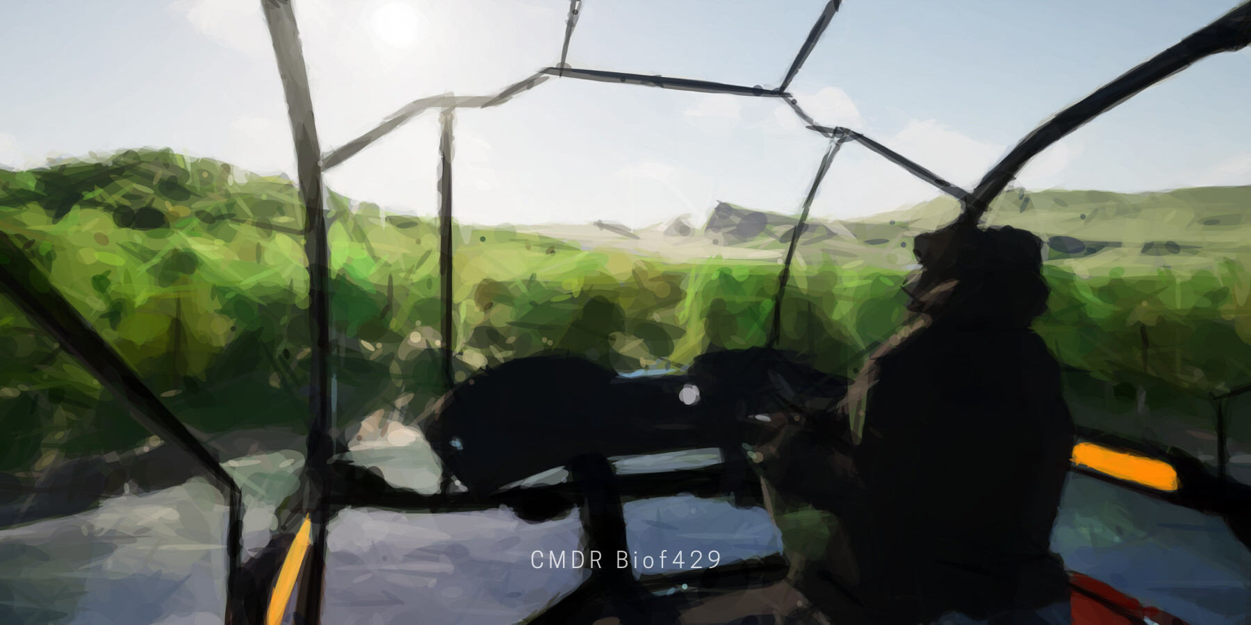 Rowdy - ASP Explorer atmospheric flight - Elite Dangerous