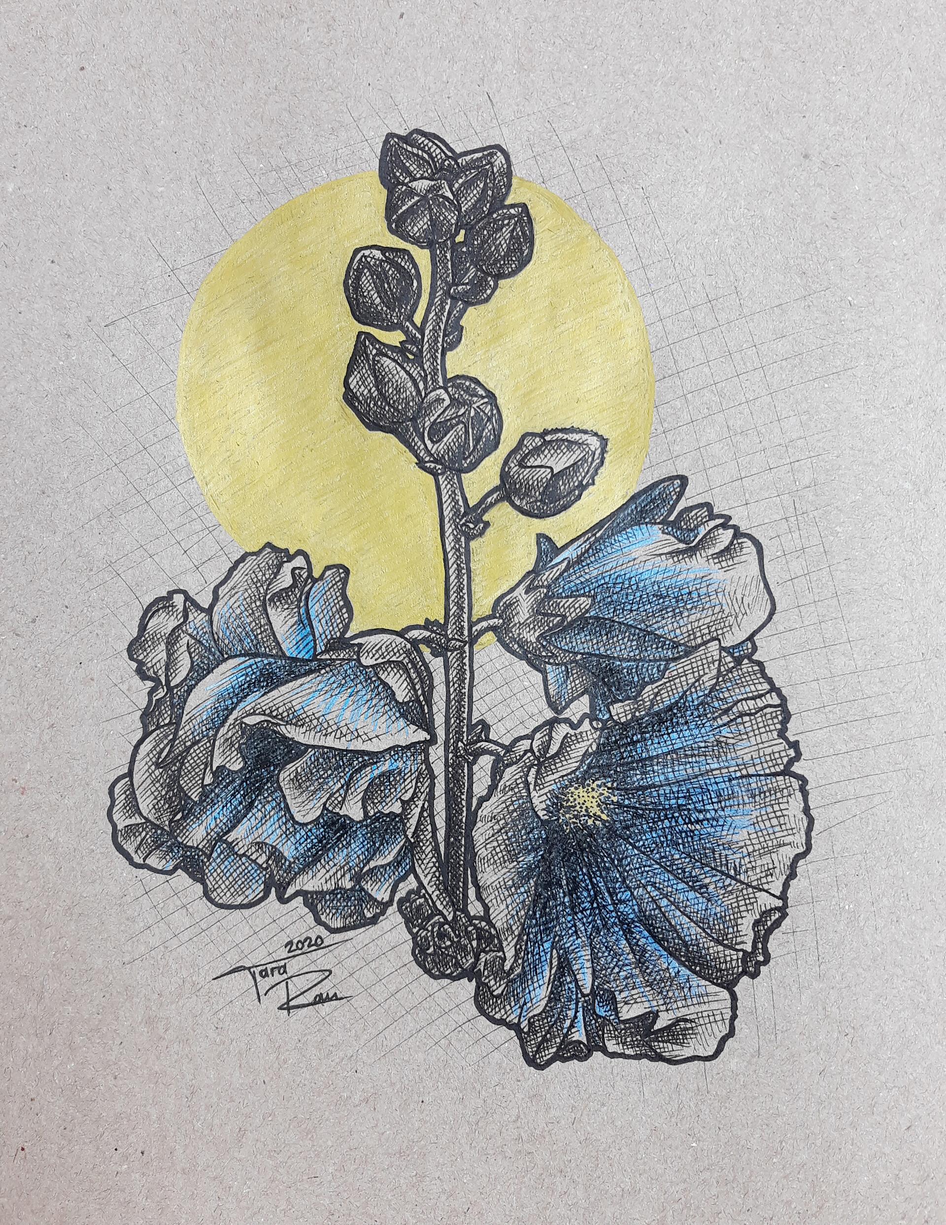 ArtStation - Cross Hatch Flowers 3