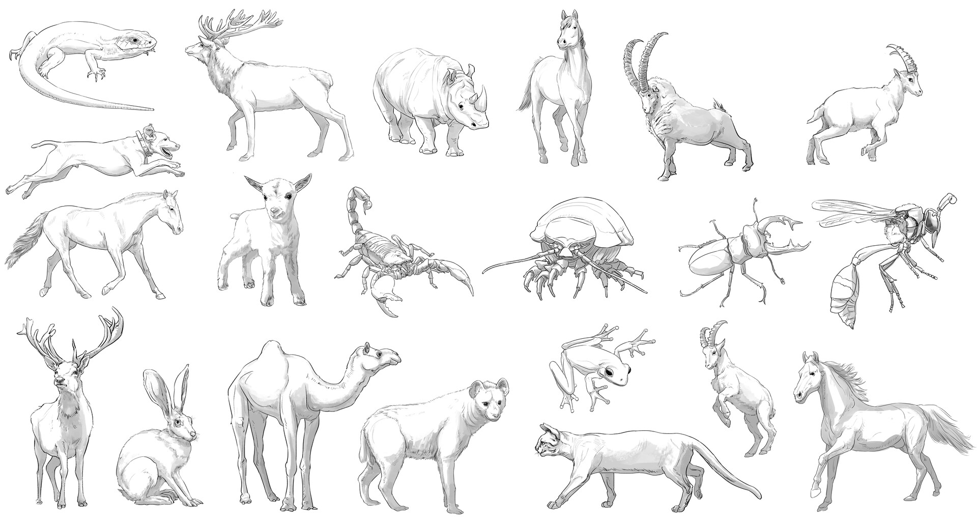ArtStation - Animal sketches