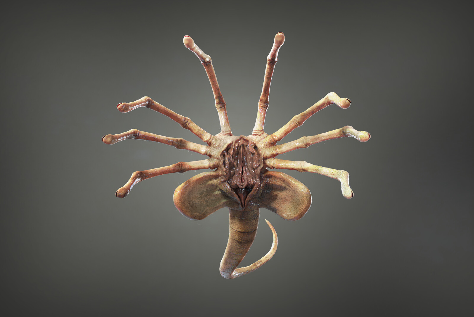 DinimiTRO - Aliens facehugger