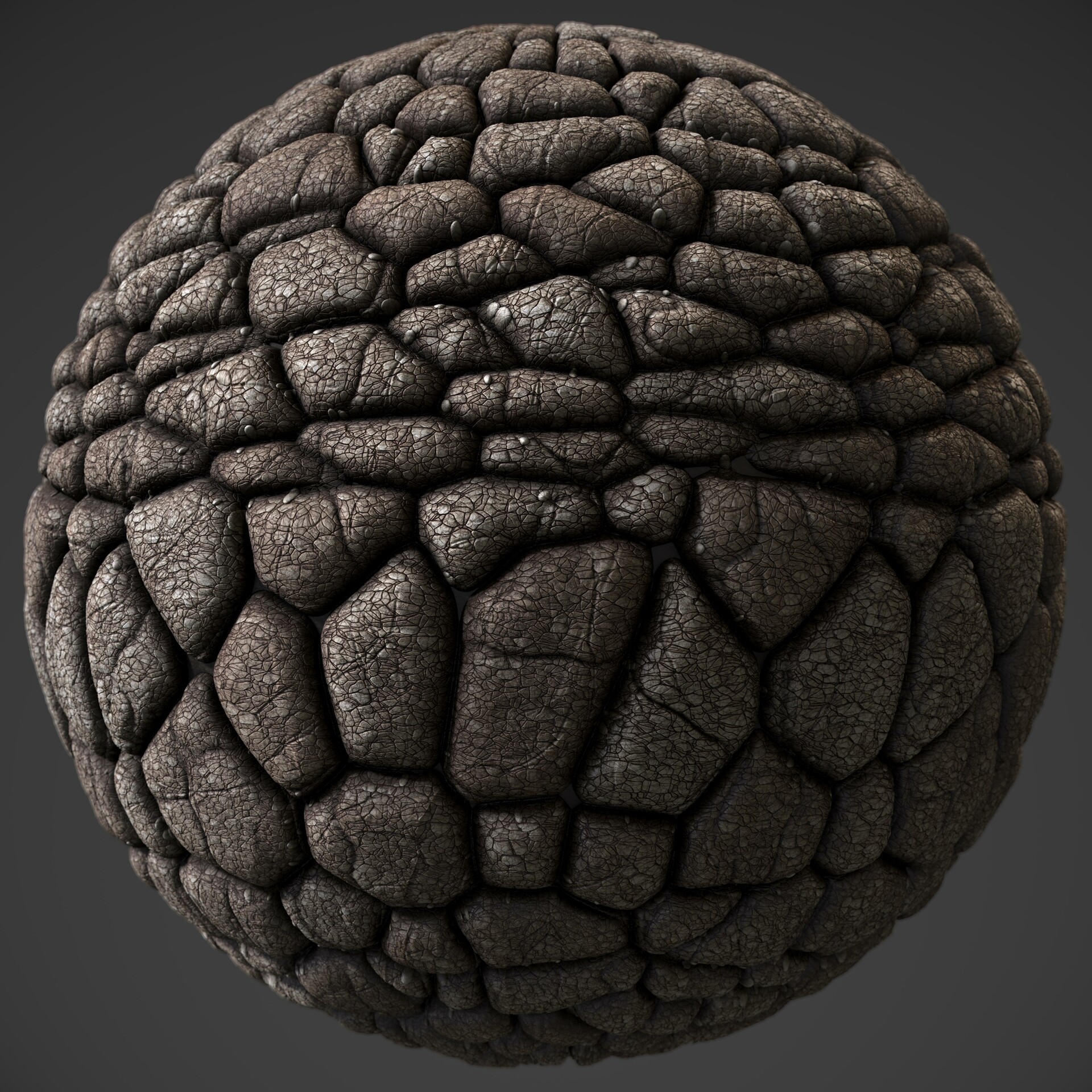 Elephant Skin Texture