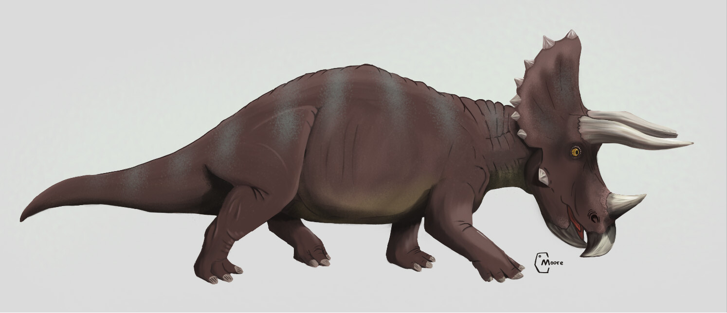 triceratops art reference