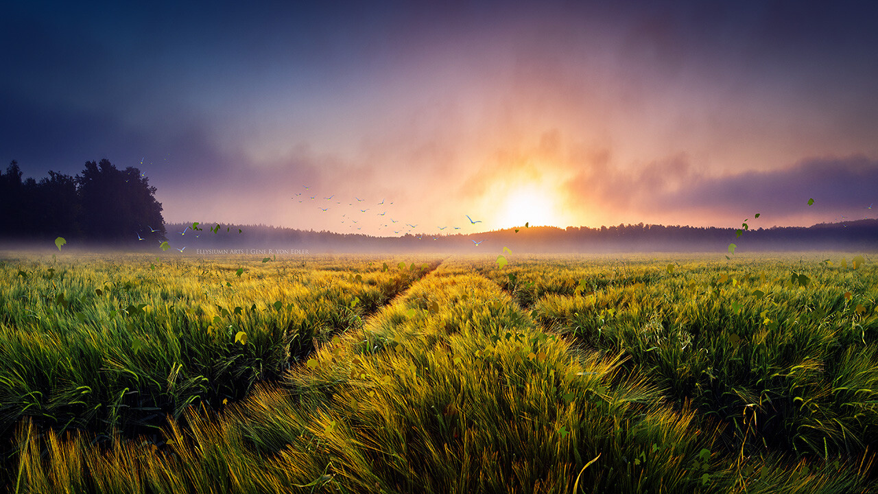 ArtStation - Zen feeling