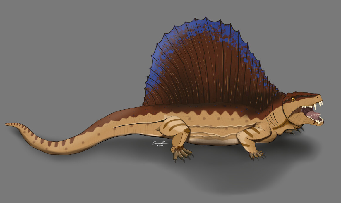 ArtStation - Dimetrodon