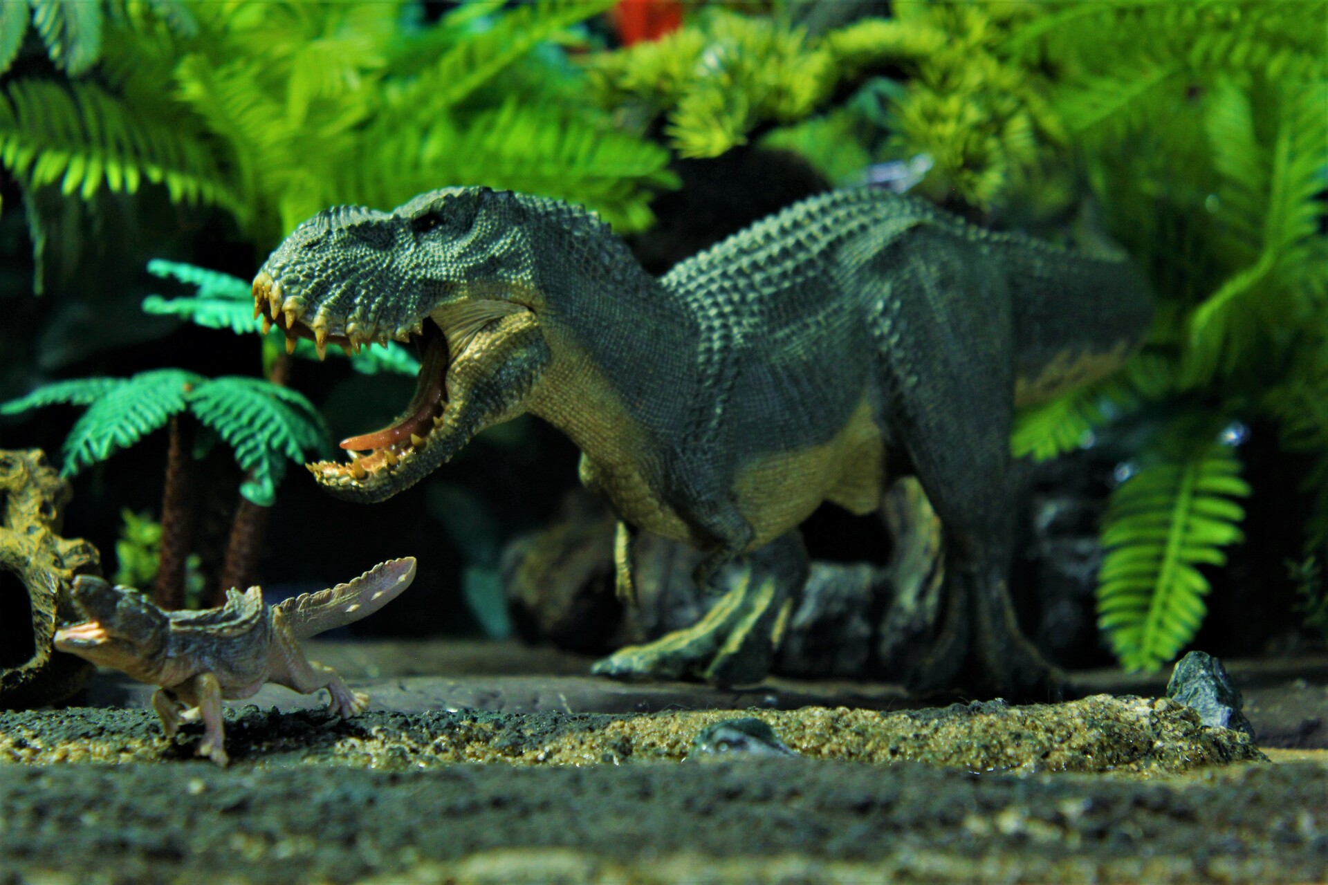 Jose R. Vazquez Rodriguez - Vastatosaurus rex/ V.rex (Rebor ...