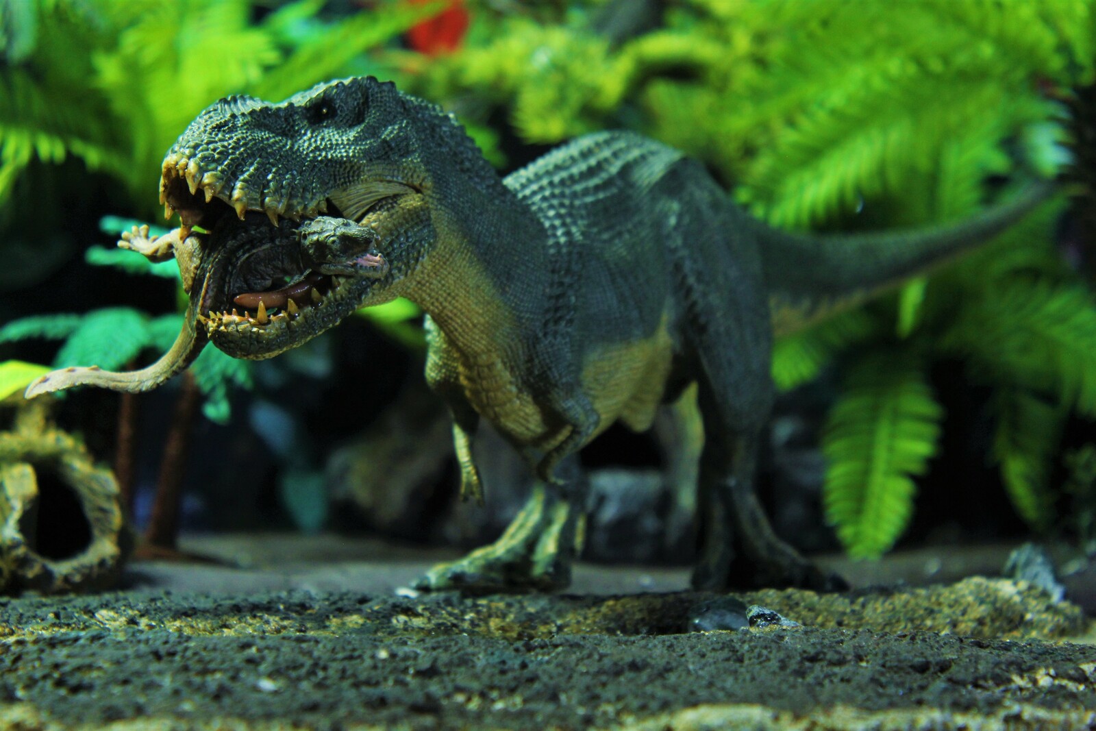 Jose R. Vazquez Rodriguez - Vastatosaurus rex/ V.rex (Rebor ...