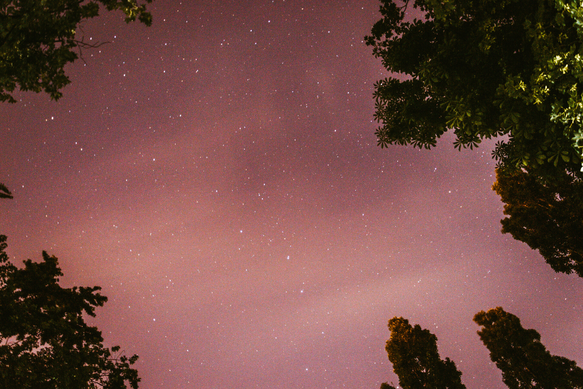 ArtStation - Pink Starsky