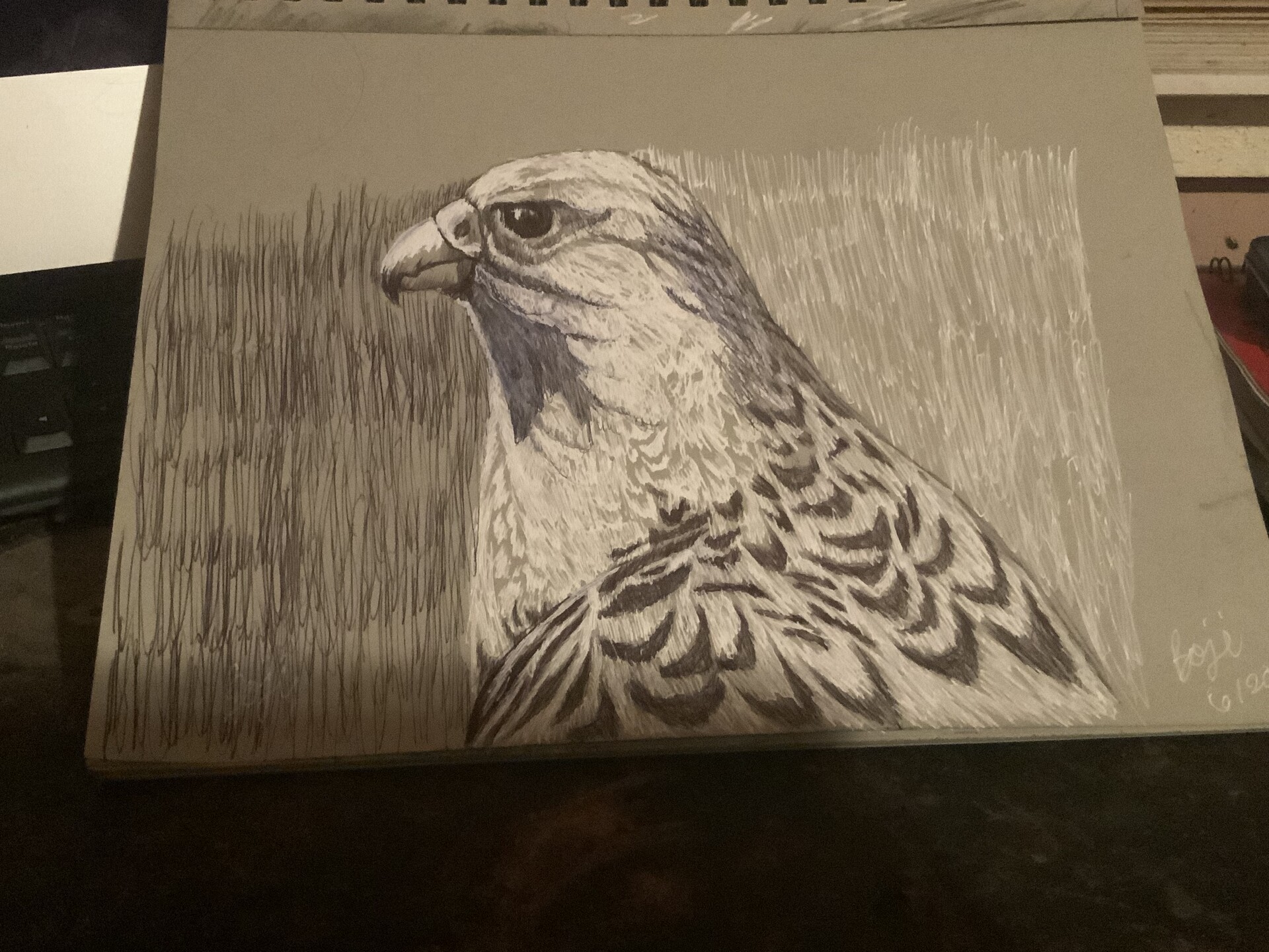 ArtStation - Gyrfalcon draw from following a live stream