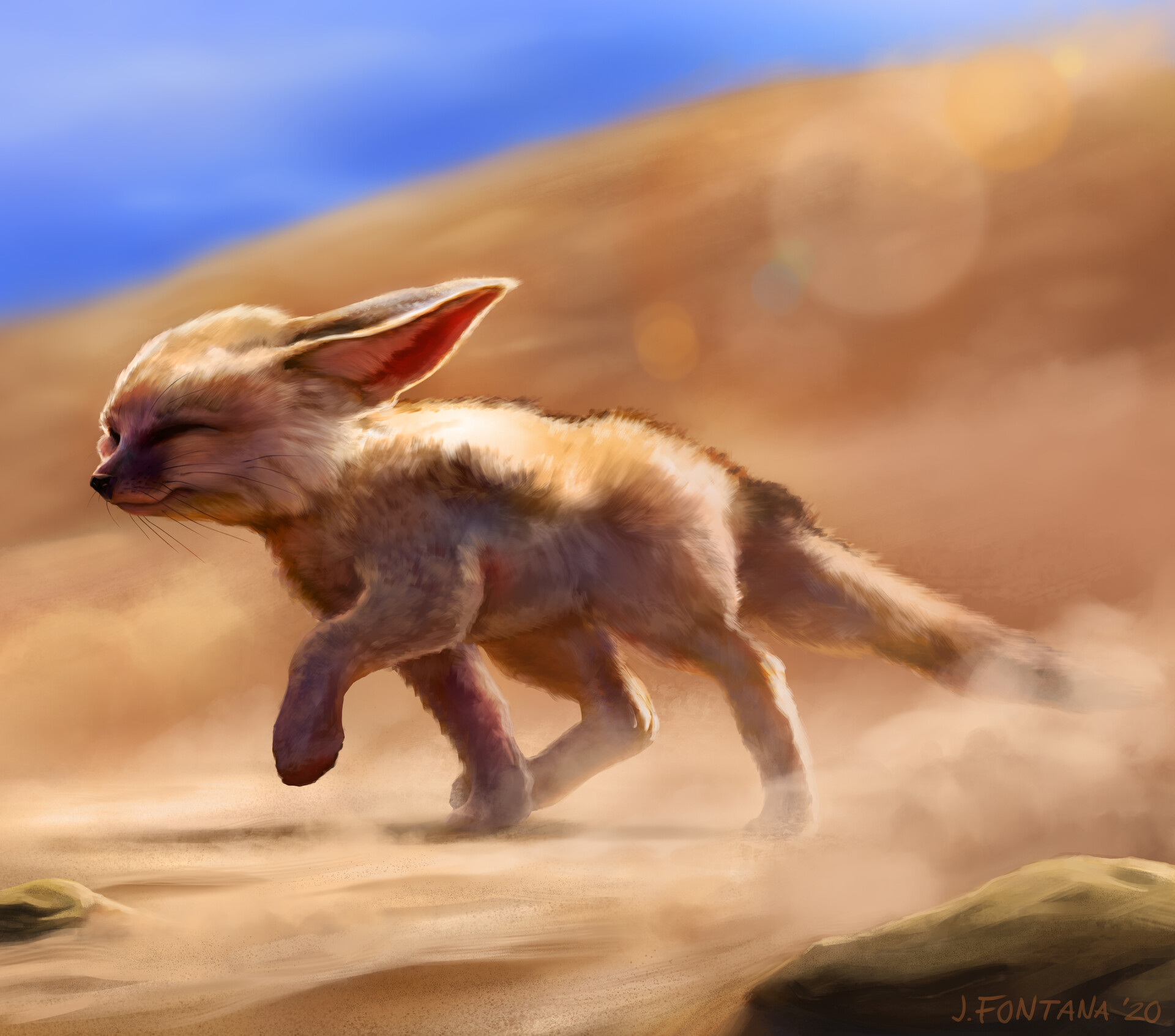 desert fox art