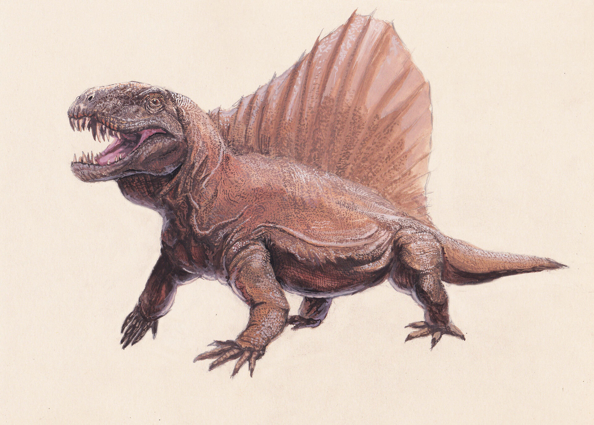 ArtStation - Dimetrodon