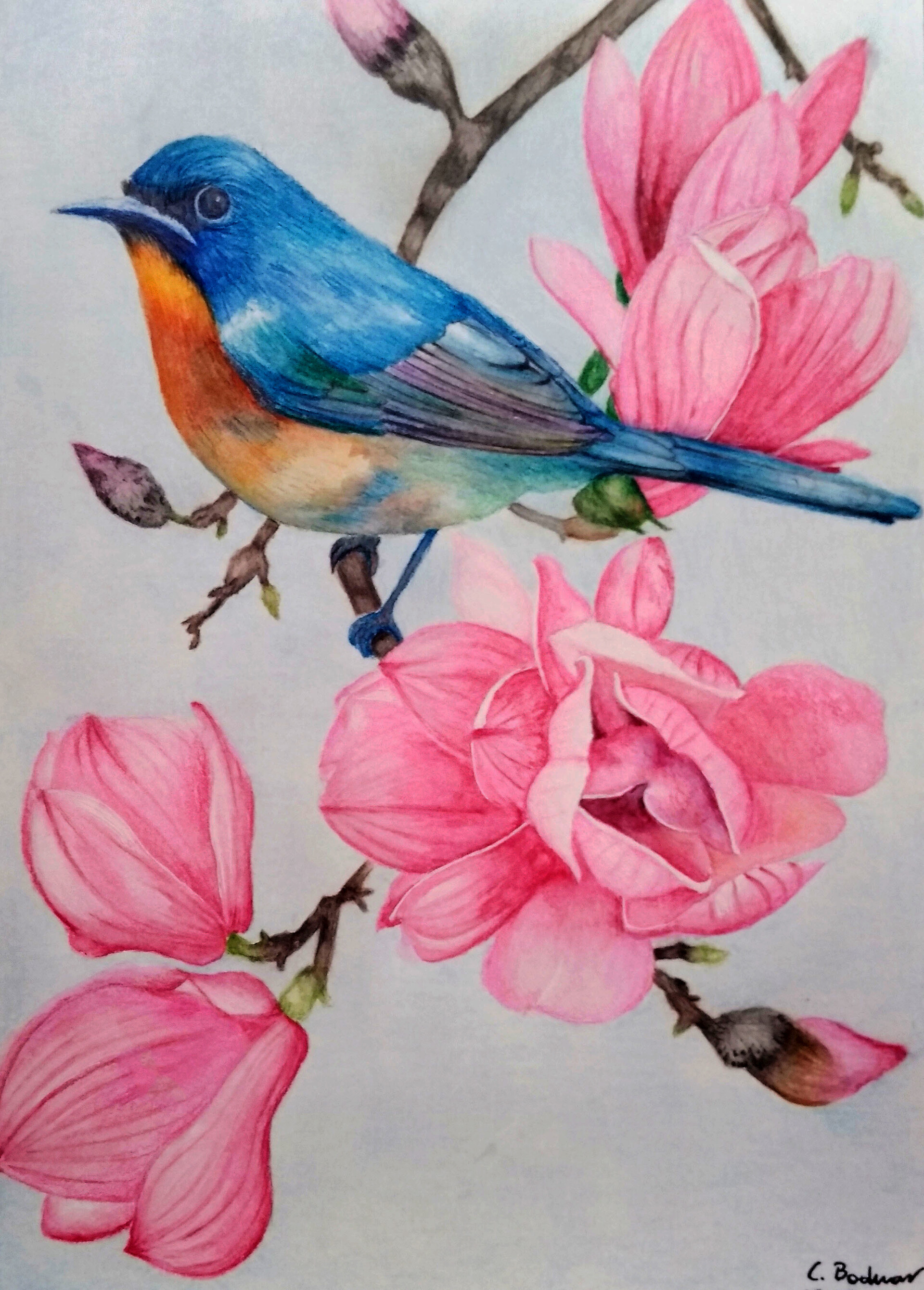 how to draw birds with flowers