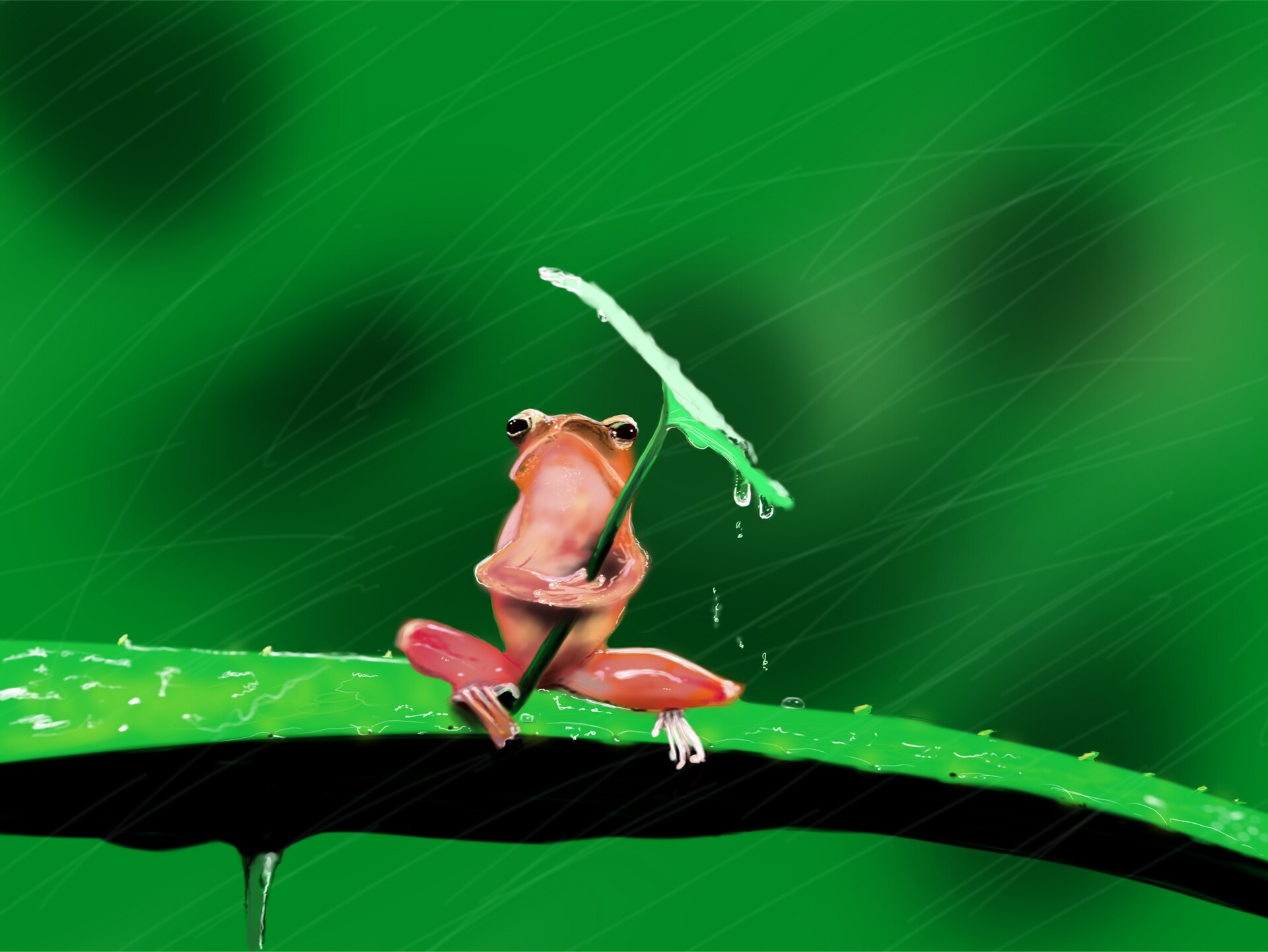 ArtStation - Rain forest frog