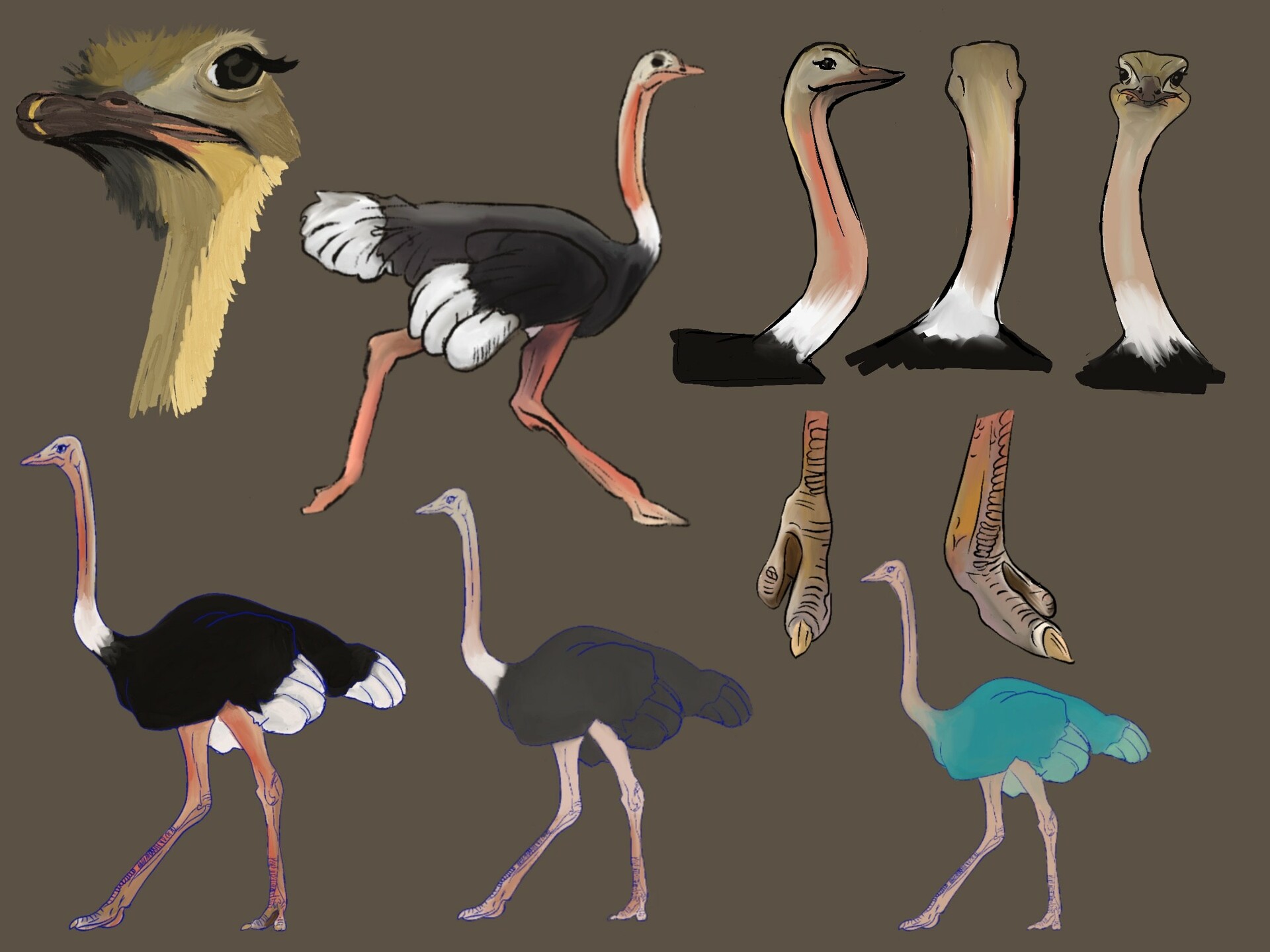 ArtStation - Ostrich