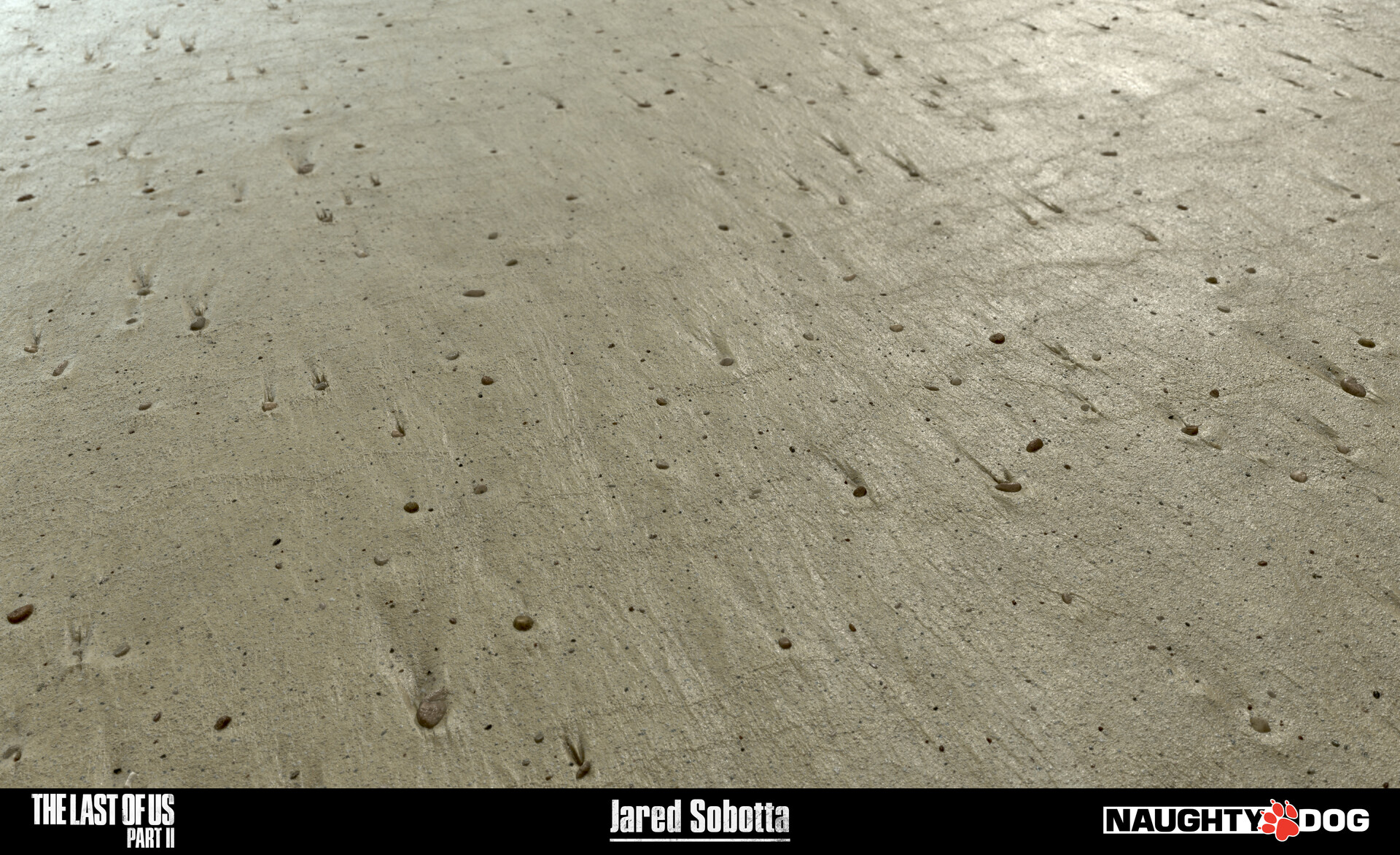 Jared Sobotta - The Last of Us: Part 2 Scar Village Materials A