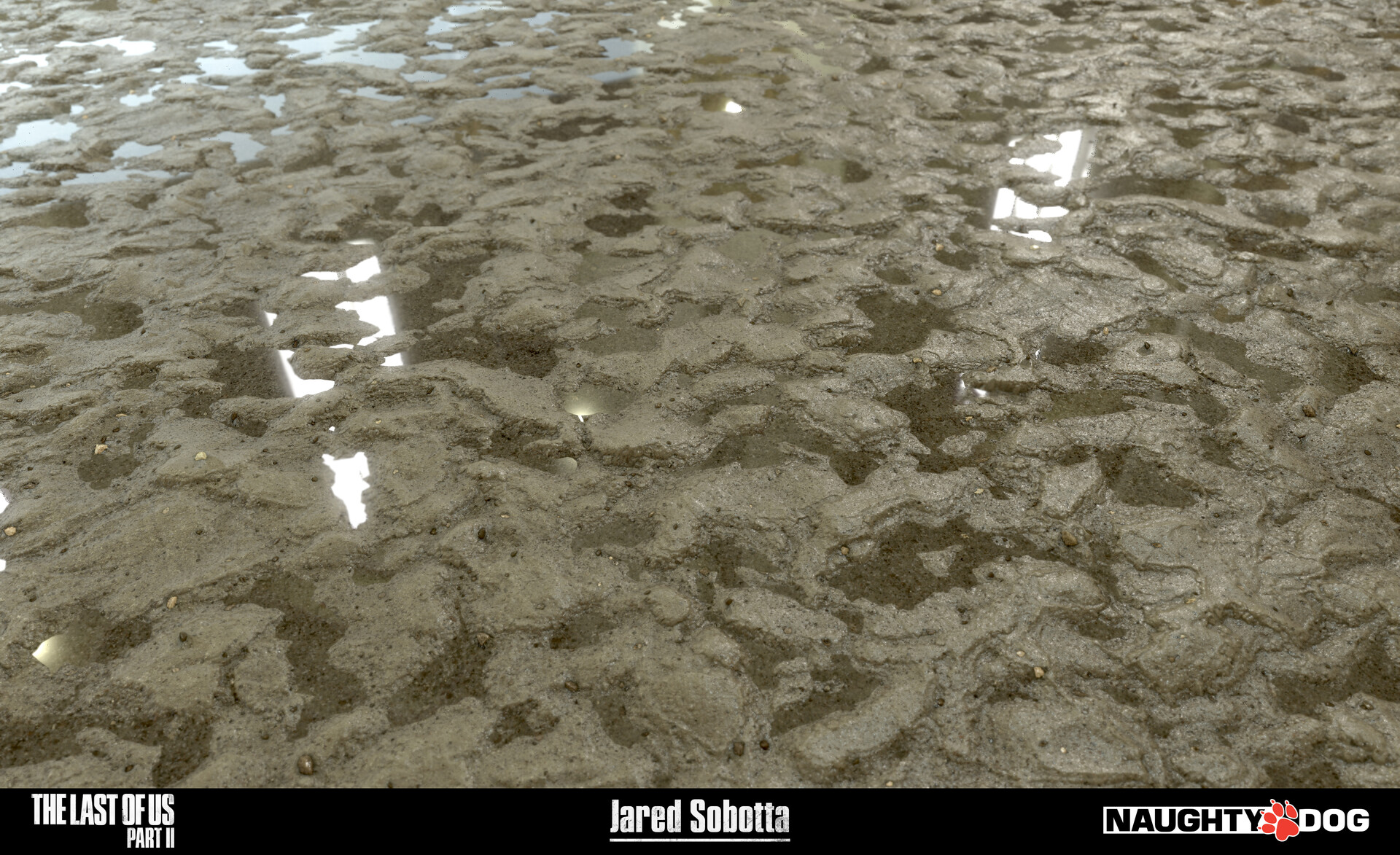 Jared Sobotta - The Last of Us: Part 2 Scar Village Materials A