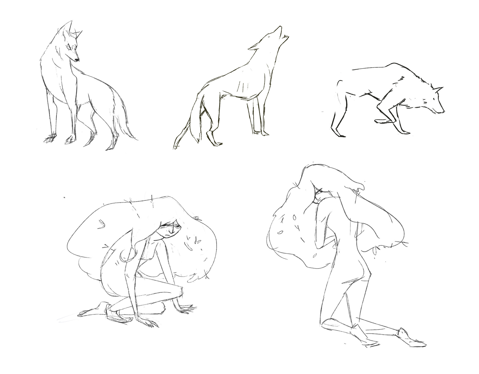 wolf girl drawing reference