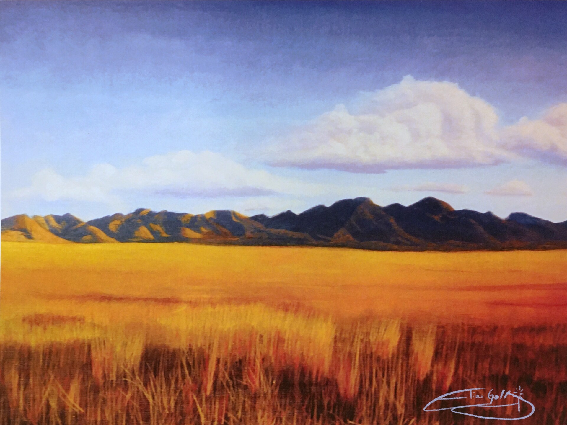 ArtStation - Animas Valley