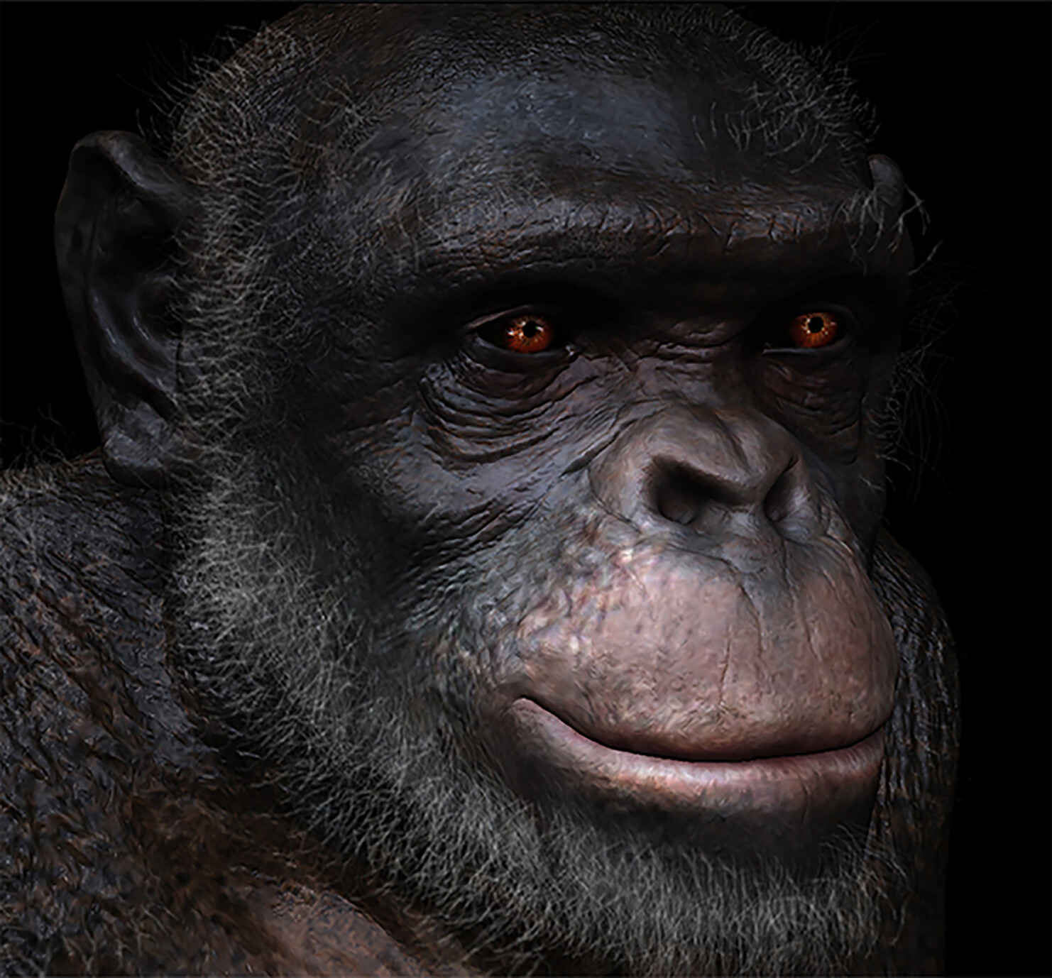 ArtStation - Zbrush ape