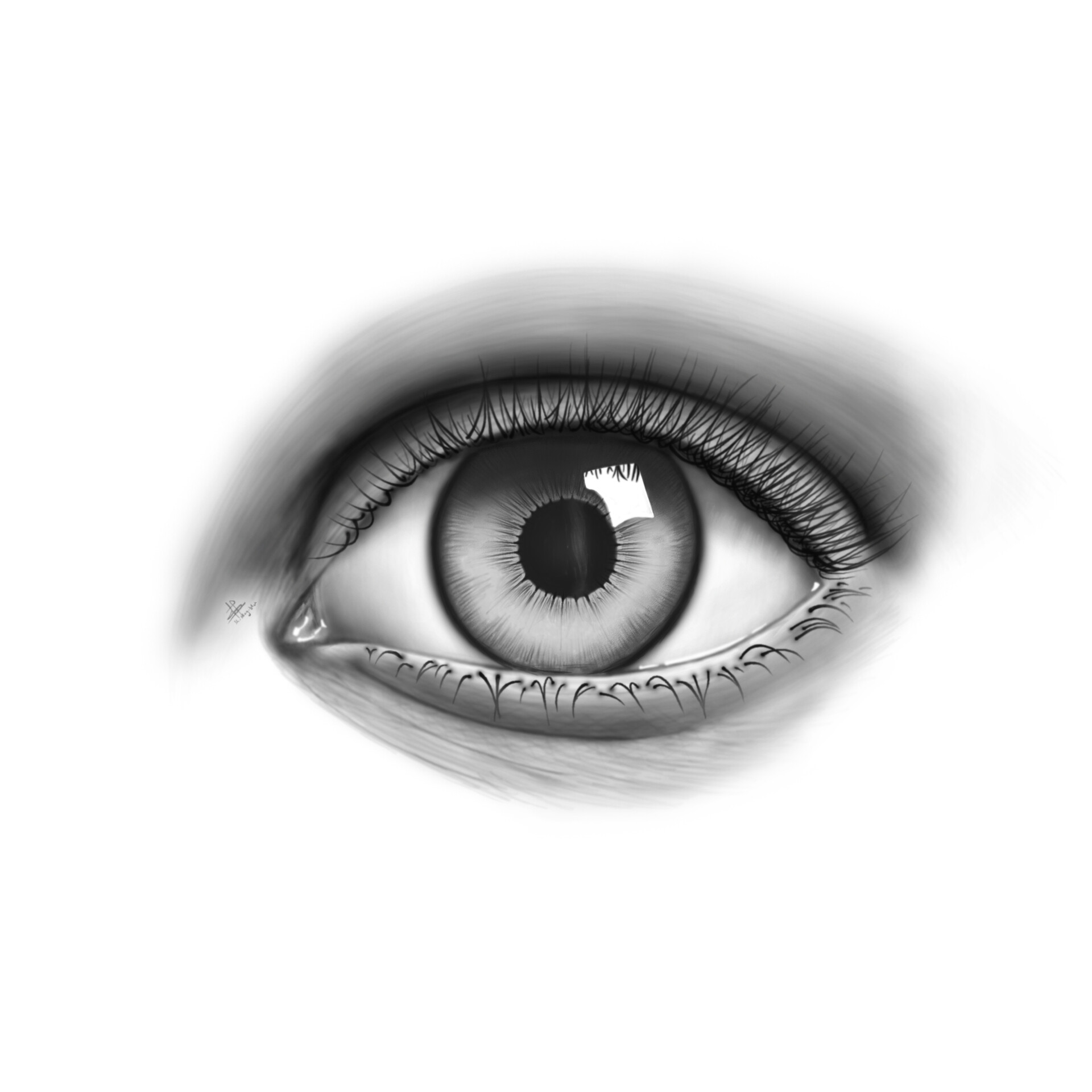 how to draw realistic eyes photoshop