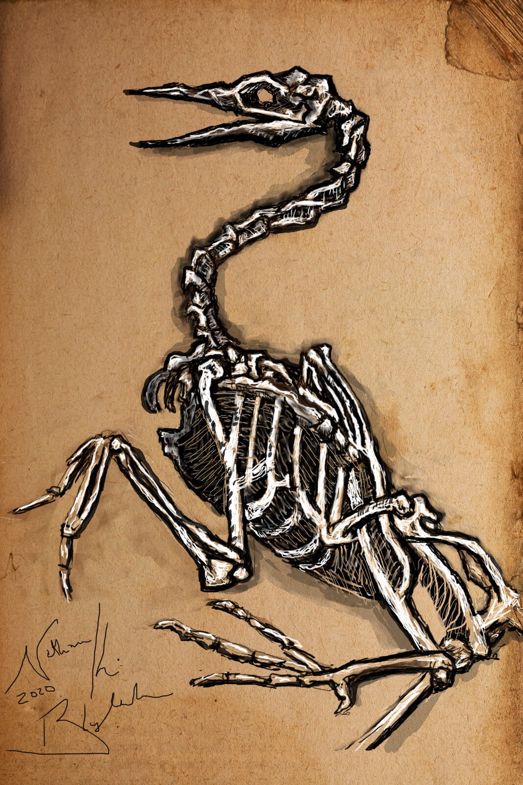 Nathan Blaylock - "Bird Bones"