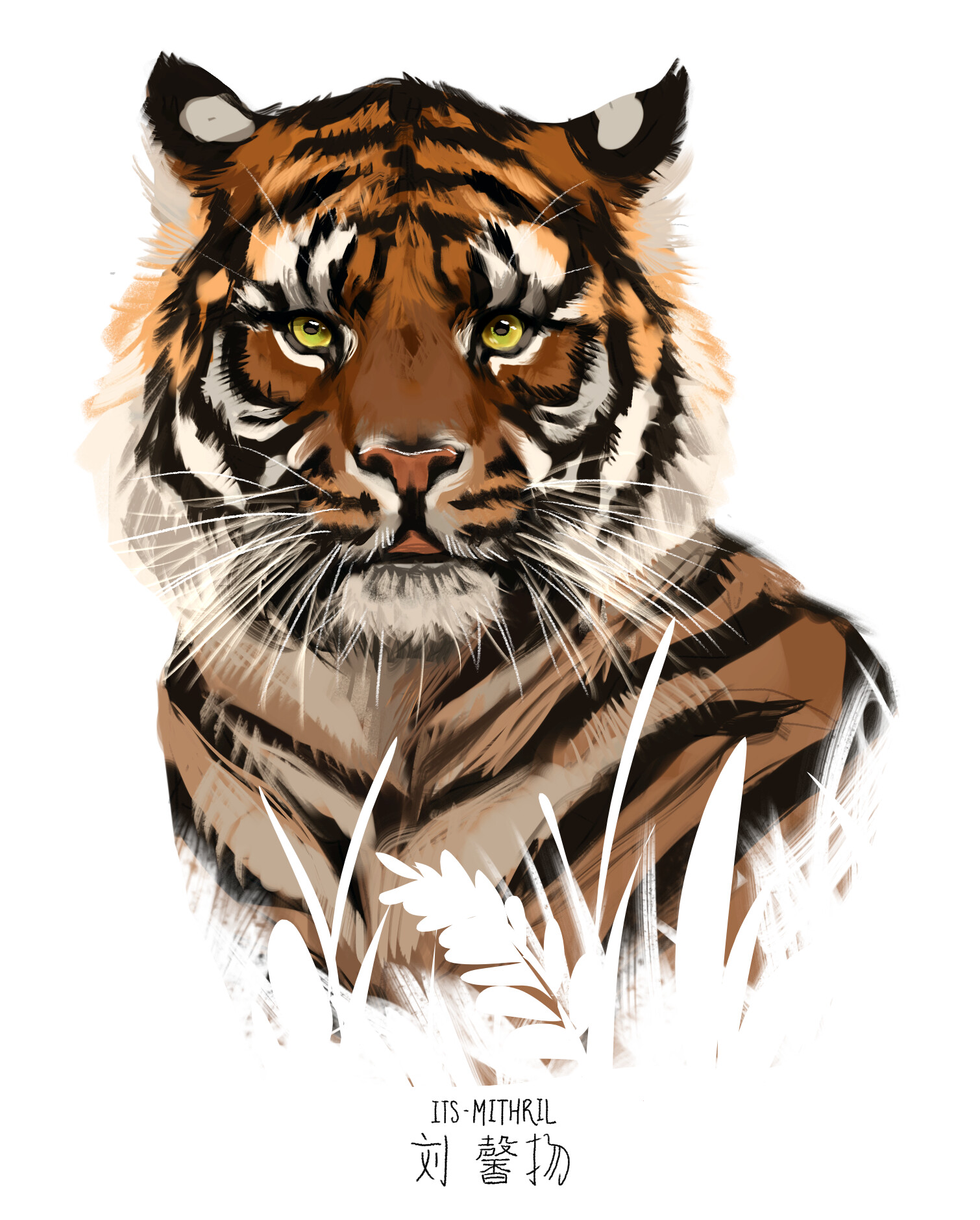 ArtStation - Tiger Study 2020