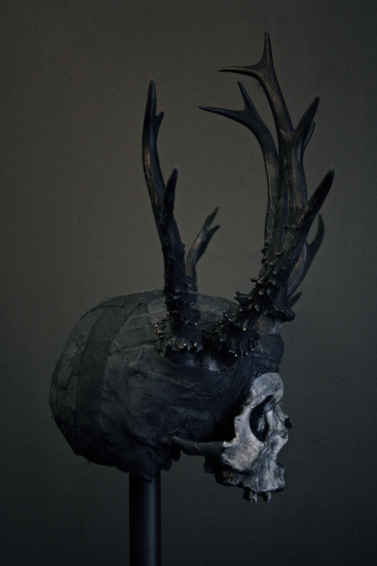 Axel Torvenius - Horned skull king Behemoth traditional sculpture